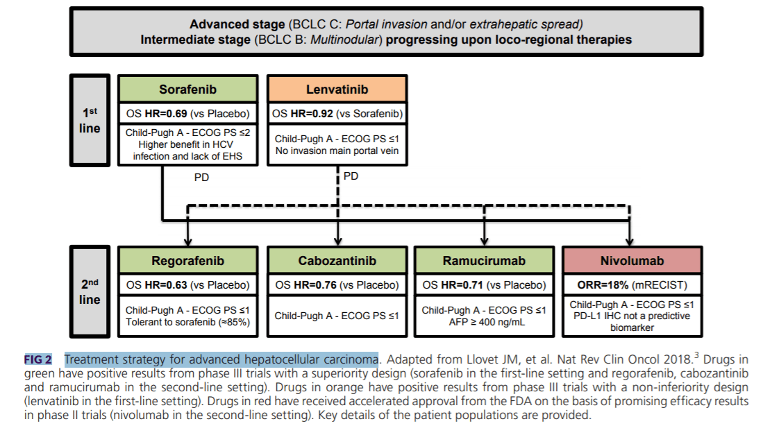 New Drugs effective in the systemic Treatment of Hepatocellular Carcinoma