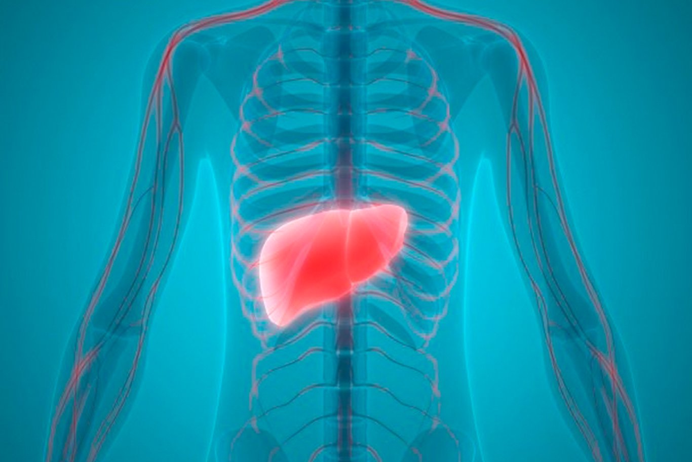 Improvement of the Modeling and Diagnosis of Hepatic Encephalopathy in Rats