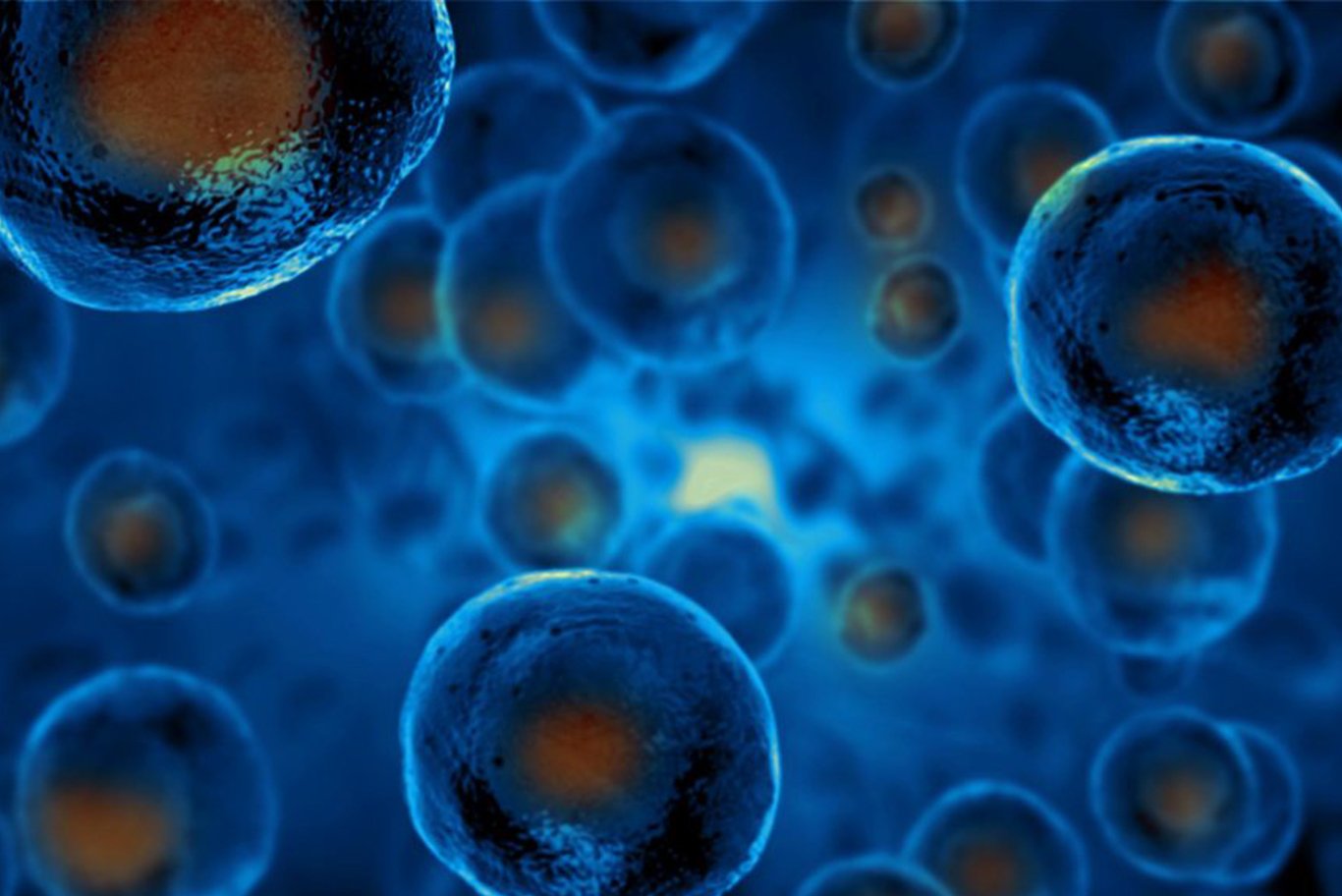 Liver Regeneration and Aging: A Current Perspective